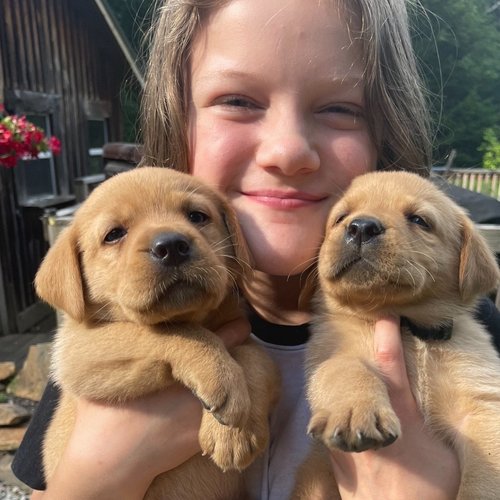 Mitchell's Streamside Labs, LLC – Mitchell's Streamside Labs, LLC